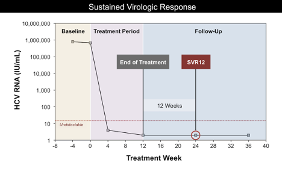 A Cure For Hepatitis C: Diagnosis And Direct-Acting Antiviral Drugs ...