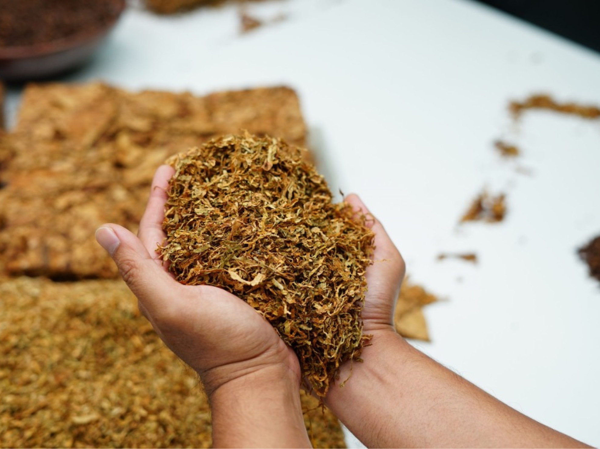 Understanding the True Impact of Tobacco Use on Health and Health ...